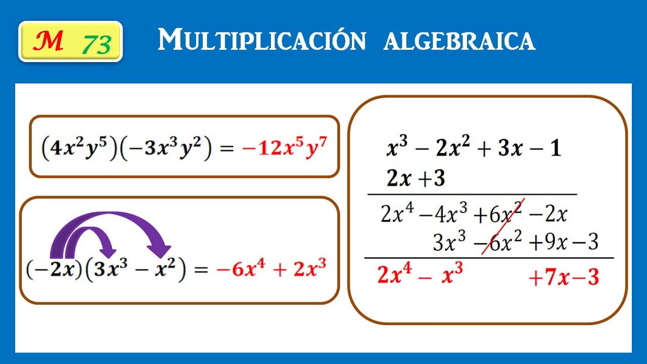 Tipos de ecuaciones: descubre sus clasificaciones y usos