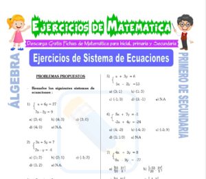Ejercicios de sistemas de ecuaciones: práctica y ejemplos