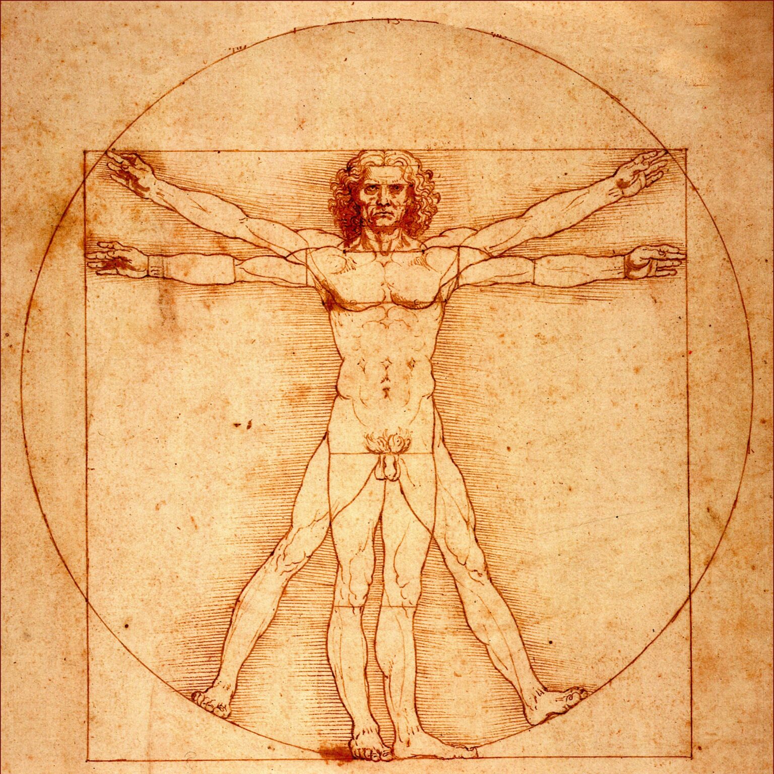 Cuáles son los tipos y propiedades de los cuadriláteros