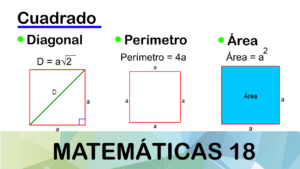 Fórmulas del cuadrado: área, perímetro y diagonales