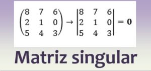 Qué es una matriz singular Entiende su impacto matemático