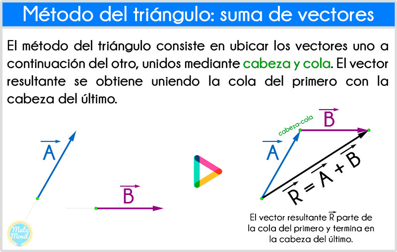 Ángulos colaterales: Descubre sus tipos internos y externos