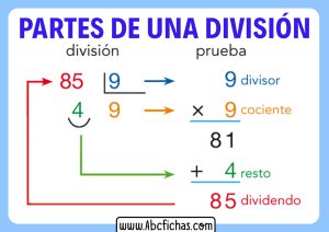 Todo sobre DIVISIÓN: Partes, EJEMPLOS y REGLAS CLAVES